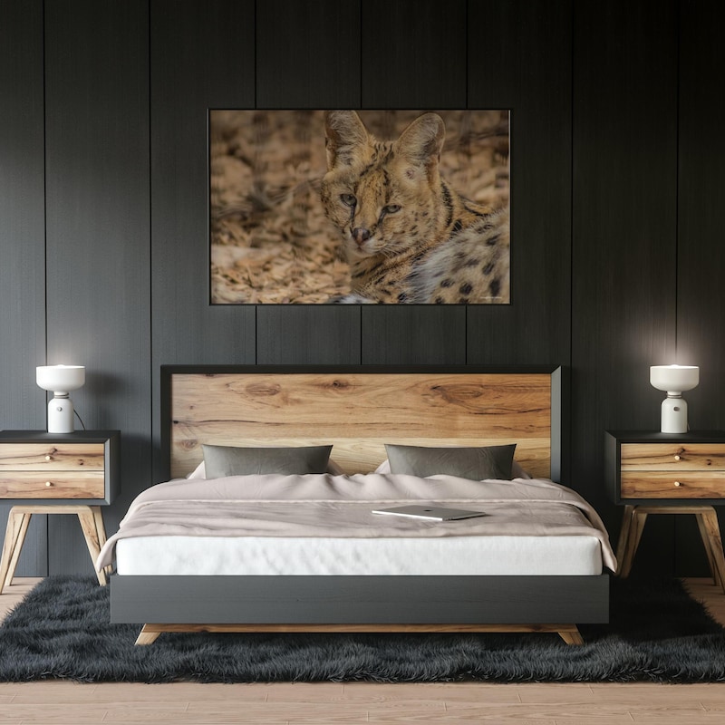 Mid Century Cheetah Art - Etsy