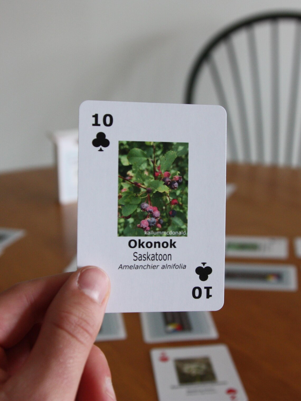 Plants of Alberta ID Cards - Etsy Canada
