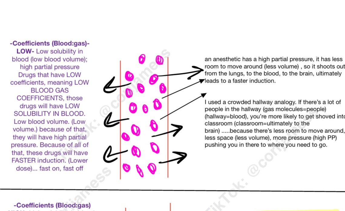 Blood:gas Partition Coefficient Made Easy - Etsy