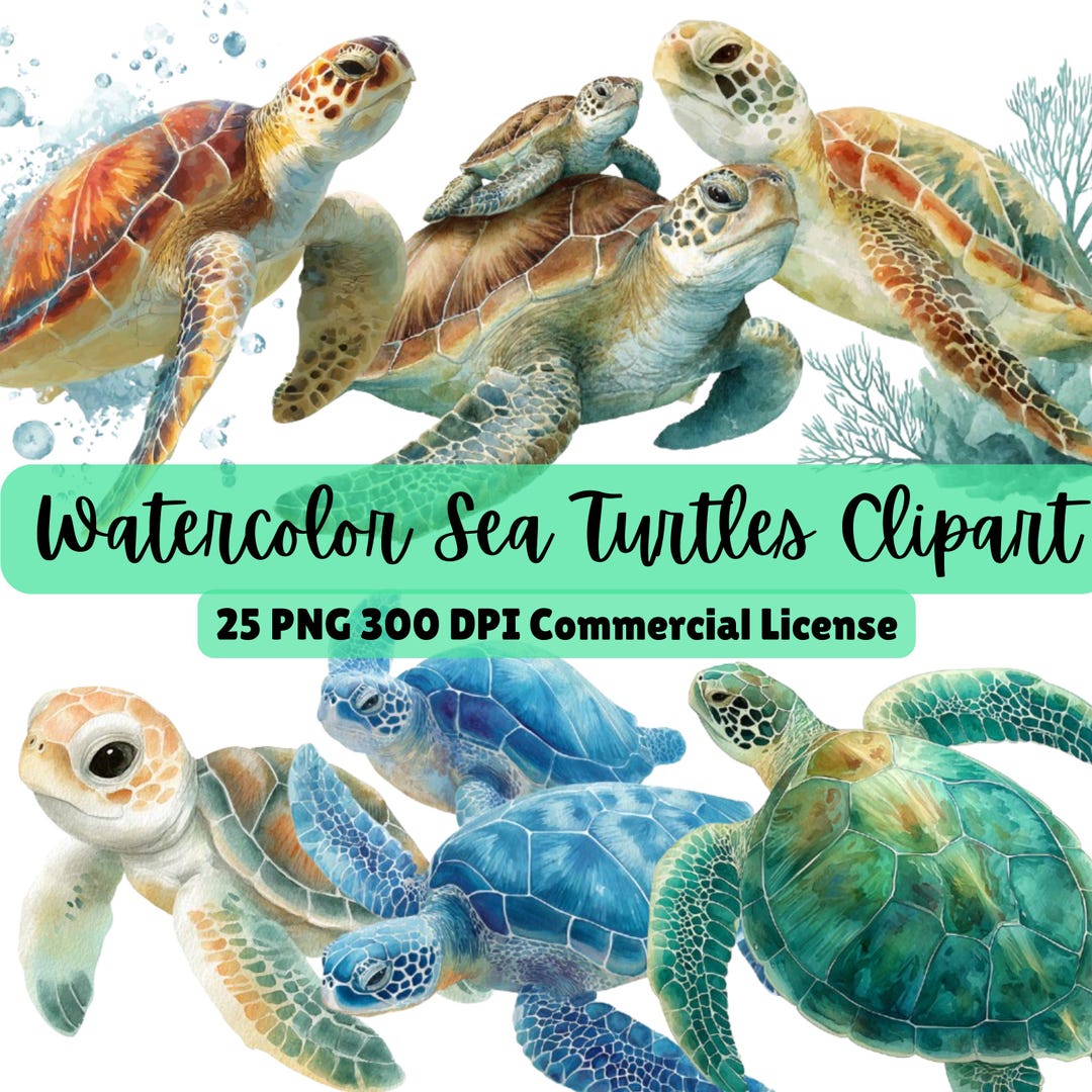 Watercolor Sea Turtle Clipart Bundle, Coastal Turtle PNG Set, Ocean ...
