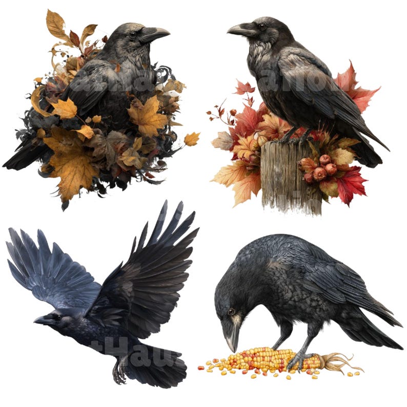 Fall Scarecrows & Crows Clipart, 20 PNG Set of Rustic Autumn Clipart ...
