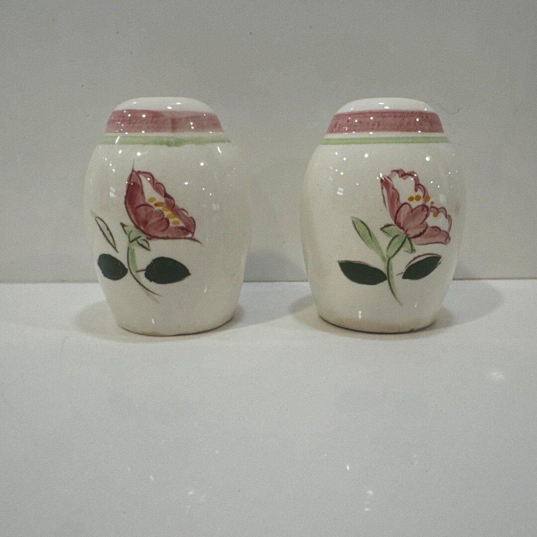 Vintage Stangl Pottery Salt & Pepper Shakers Wild Rose - Etsy