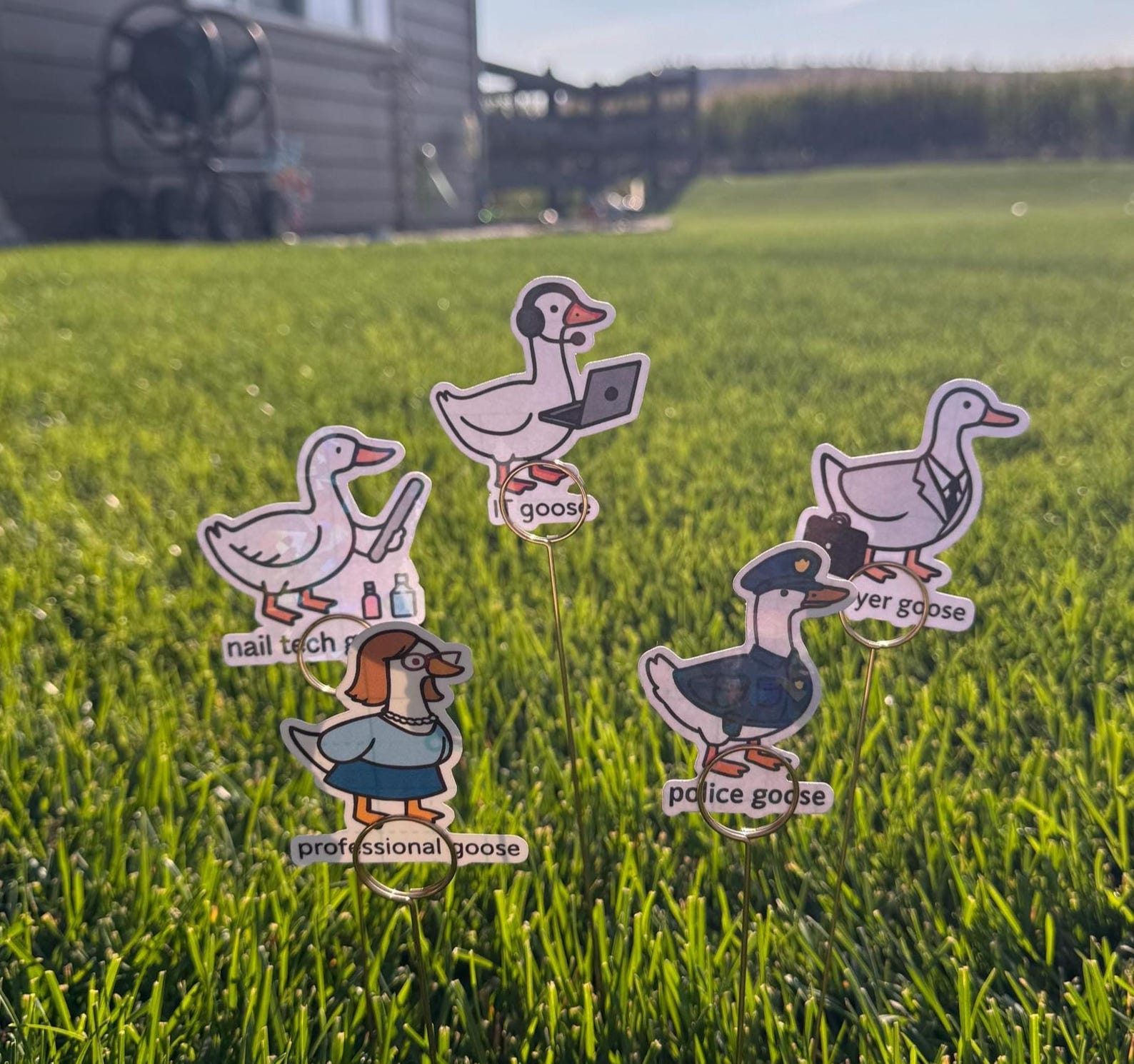 Funny Silly Goose Profession Sticker | Doctor, Hairdresser, Teacher ...