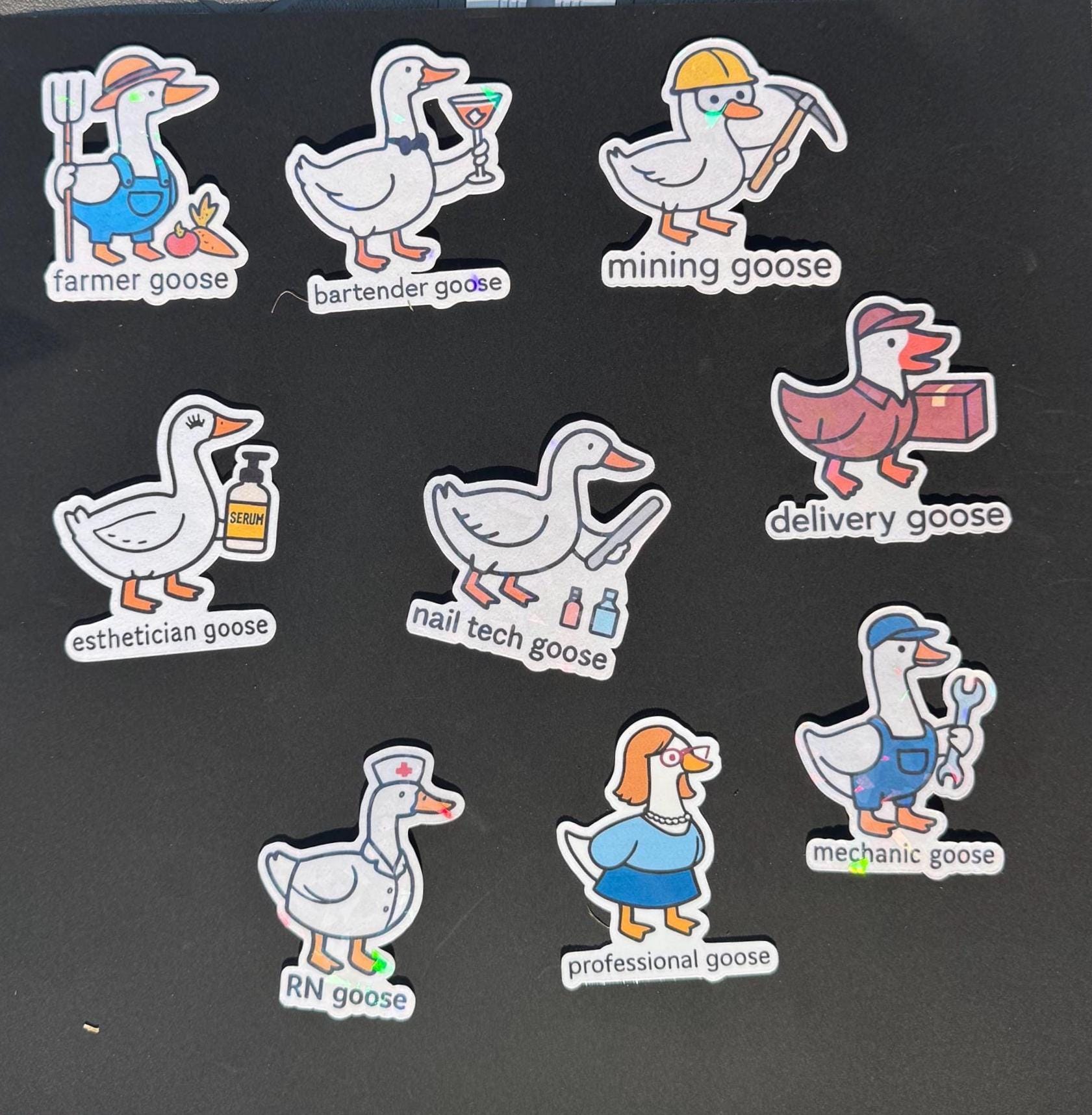 Funny Silly Goose Profession Sticker | Doctor, Hairdresser, Teacher ...
