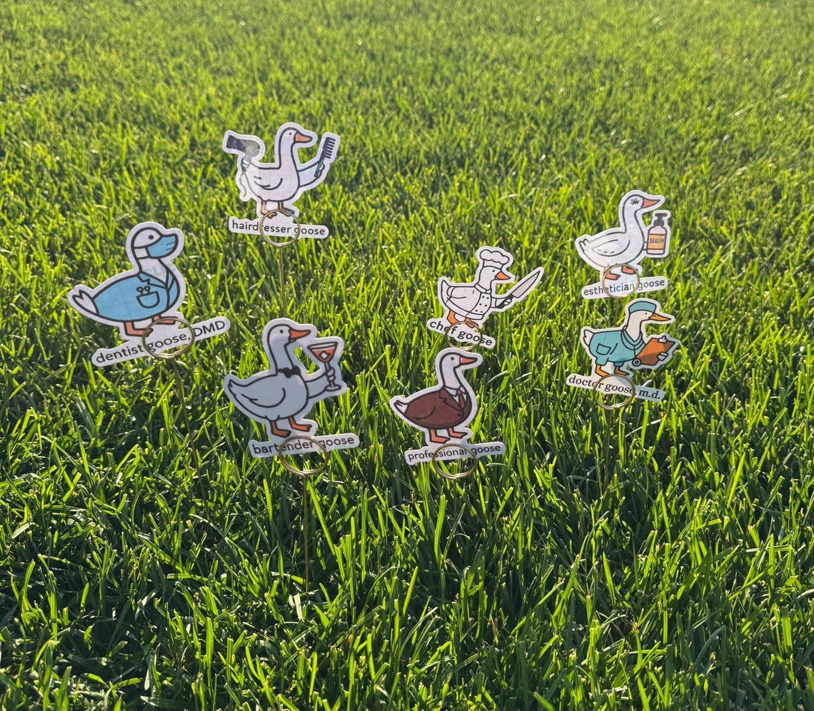 Funny Silly Goose Profession Sticker | Doctor, Hairdresser, Teacher ...