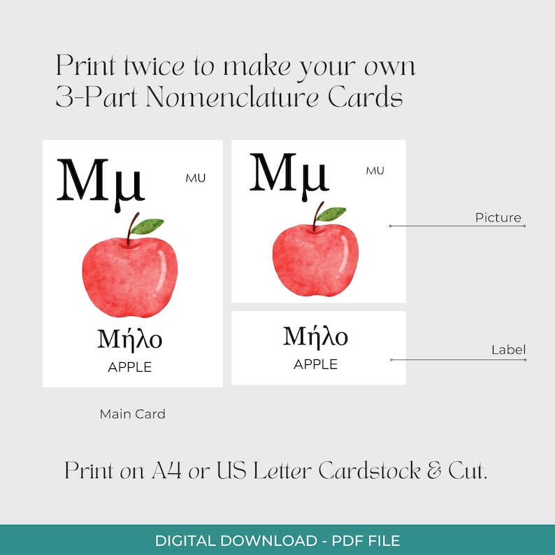Greek Alphabet Flashcards With English Translations – Bilingual ...
