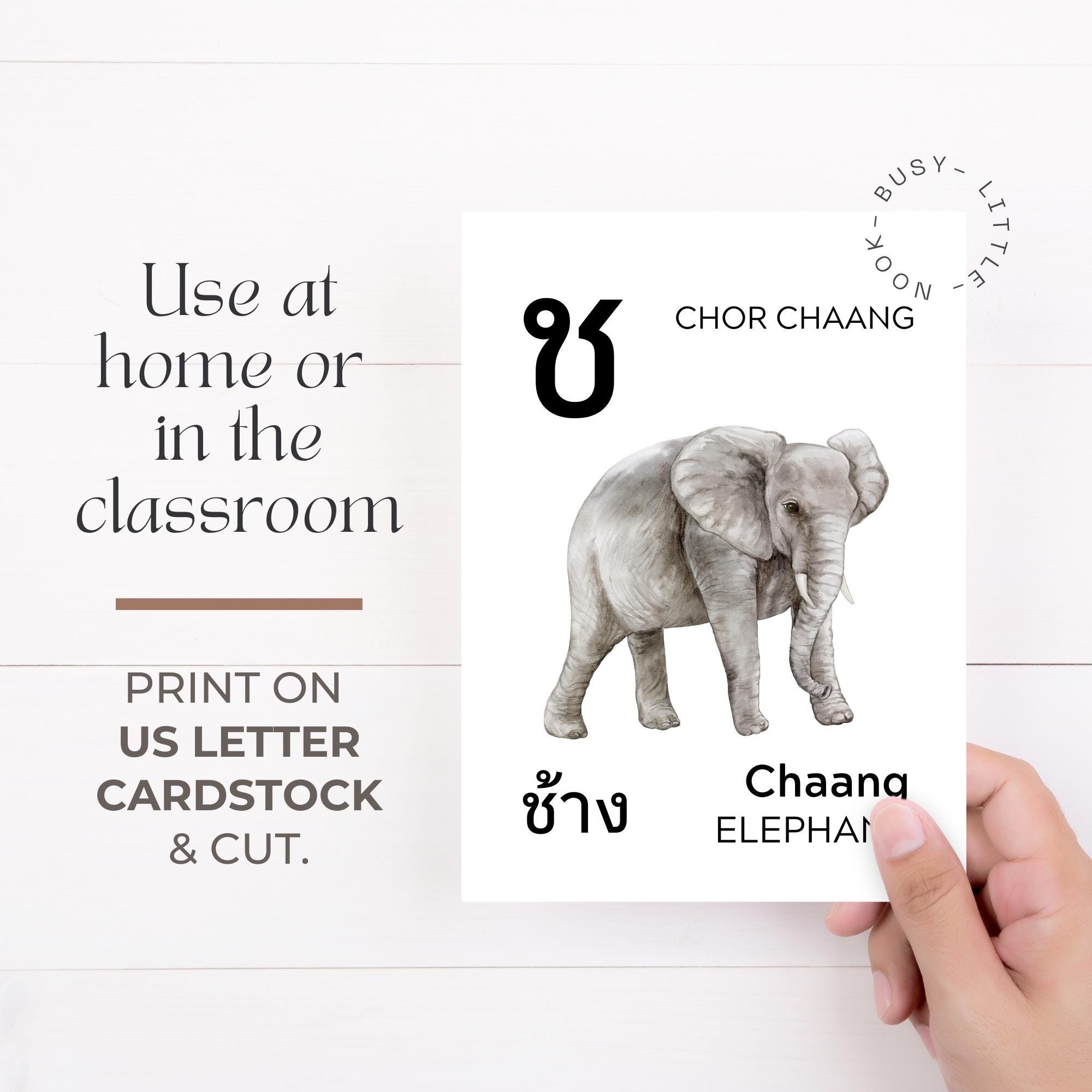 Thai Alphabet Flashcards With English Translations – Bilingual ...