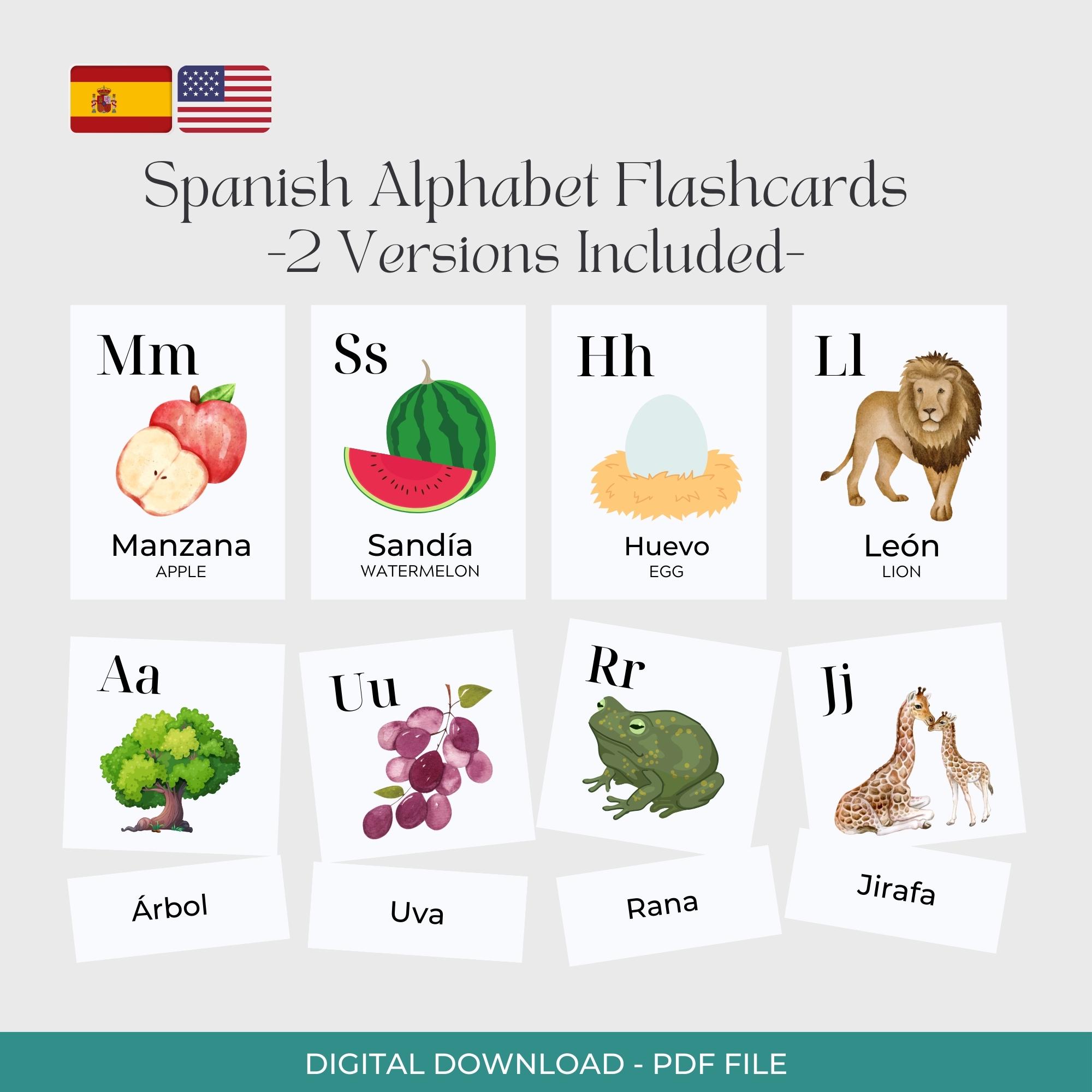 Spanish Alphabet Flashcards With English Translations – Bilingual ...