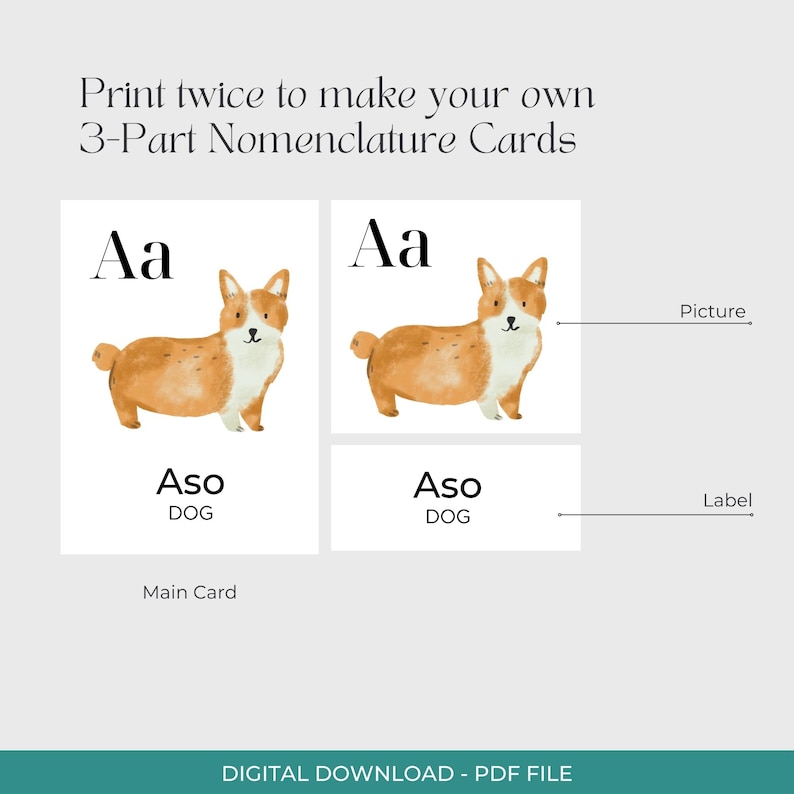 Filipino Alphabet Flashcards With English Translations – Bilingual ...