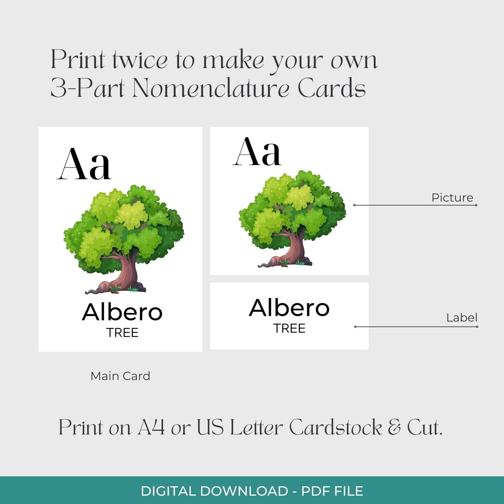 Italian Alphabet Flashcards With English Translations – Bilingual ...
