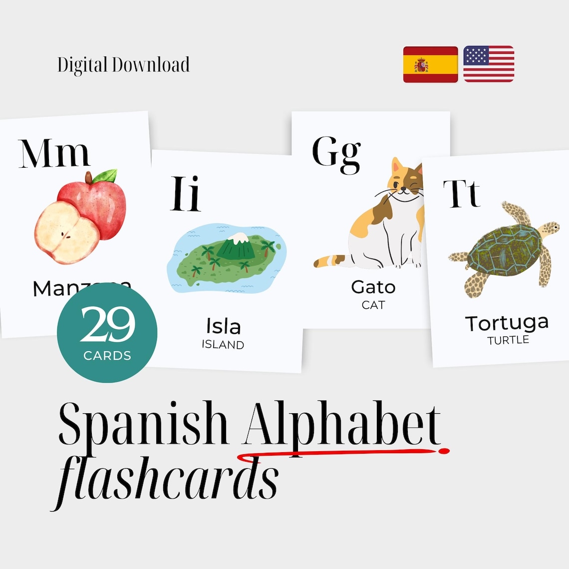 Spanish Alphabet Flashcards With English Translations – Bilingual ...