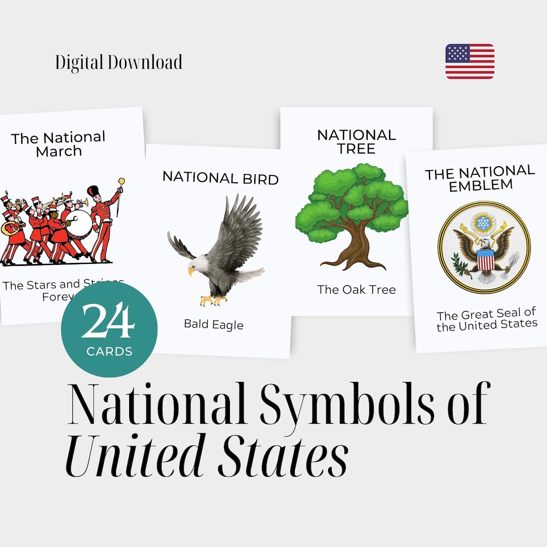 USA National Symbols Flashcards – 24 Printable Cards | Digital Download ...