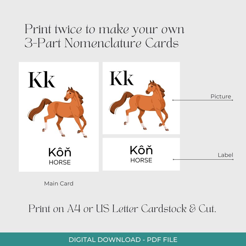 Slovak Alphabet Flashcards With English Translations – Bilingual ...