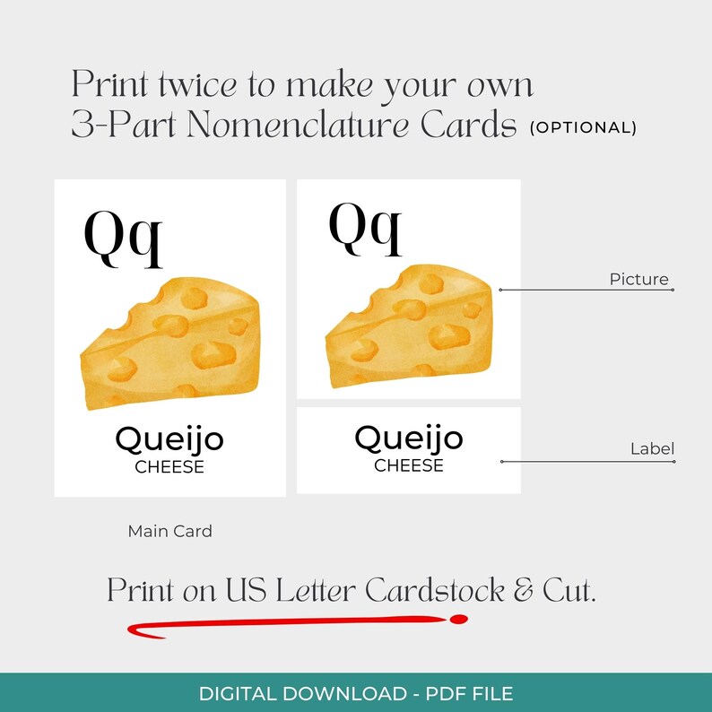 Portuguese Alphabet Flashcards With English Translations – Bilingual ...