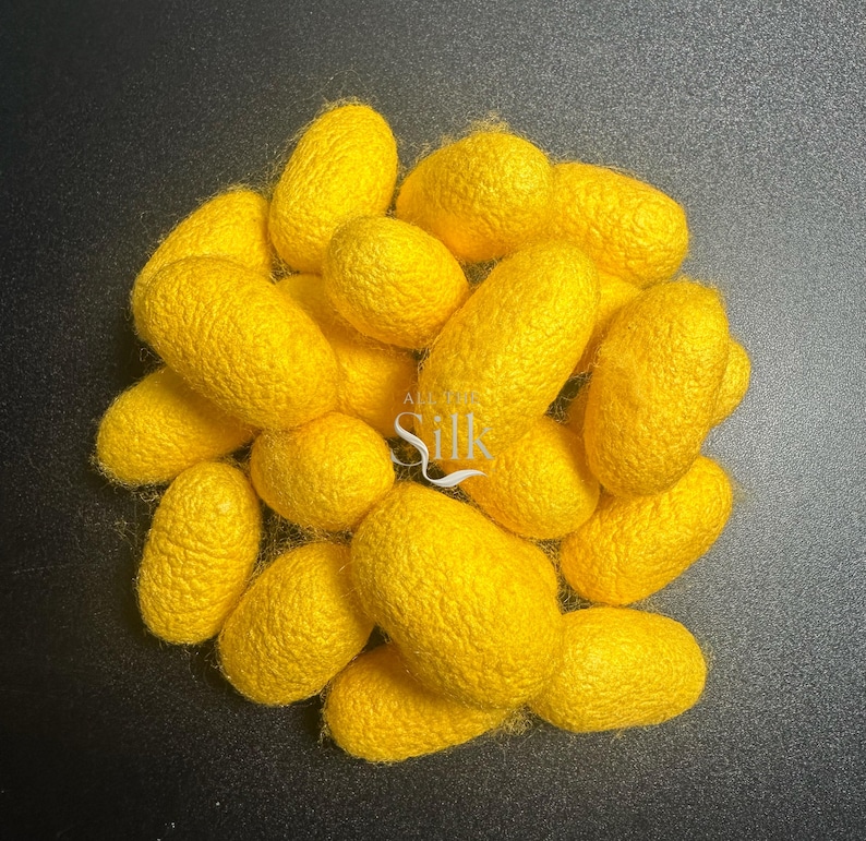 Mulberry Silk Double Cocoon: Natural Skincare, Tea & Crafts - Etsy
