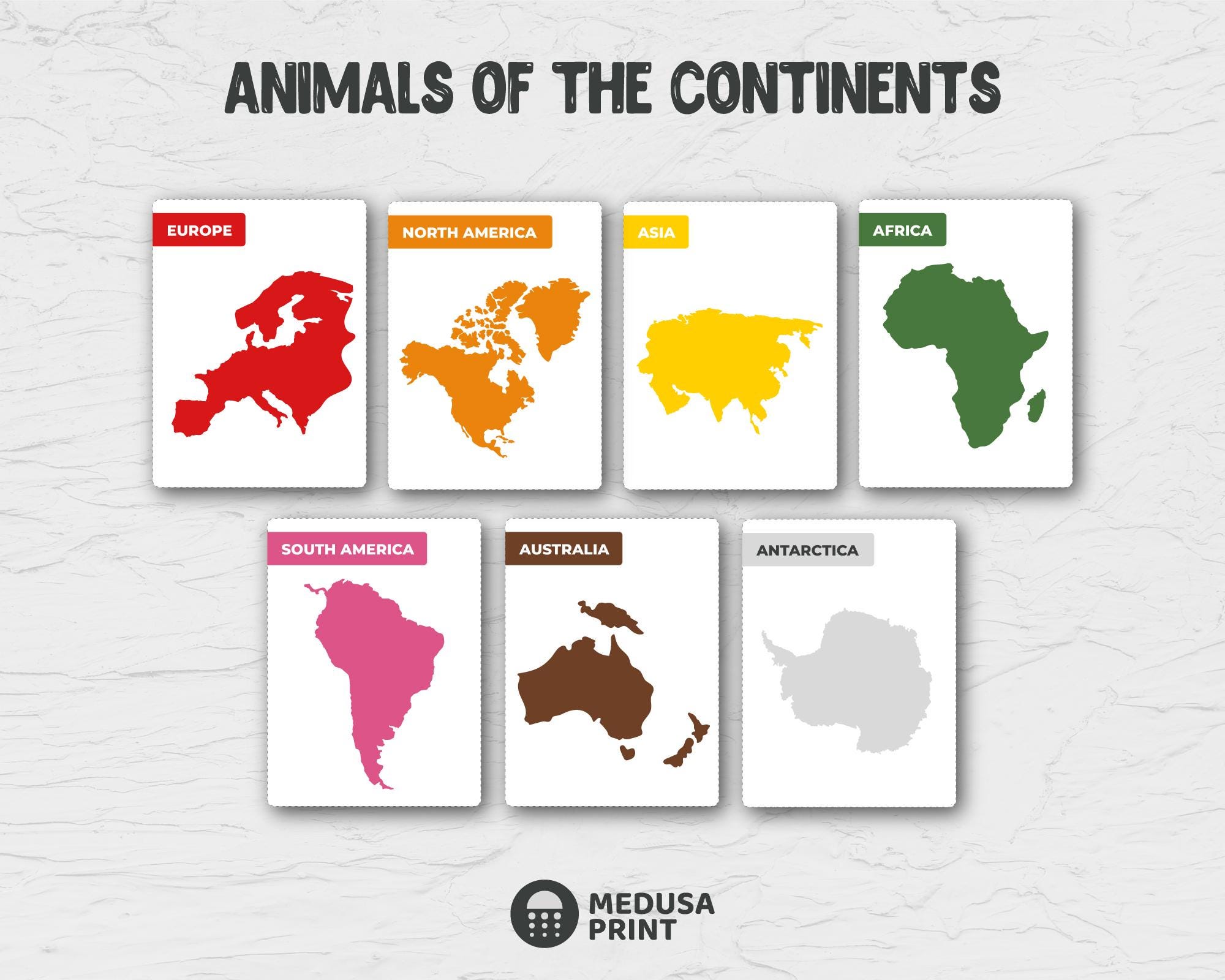 Montessori Animals & Continents Flashcards: Geography Learning (PDF ...