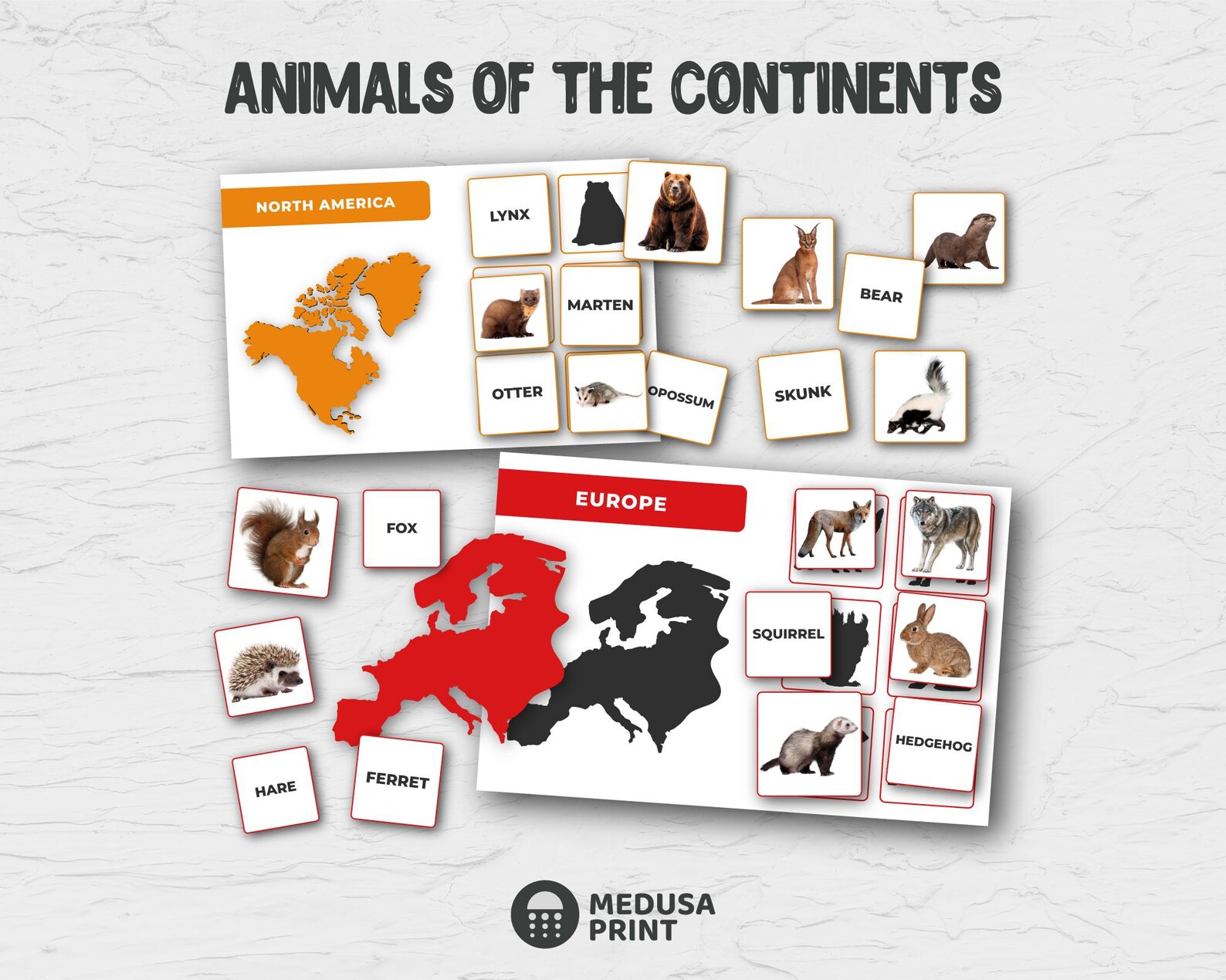 Montessori Animals & Continents Flashcards: Geography Learning (PDF ...