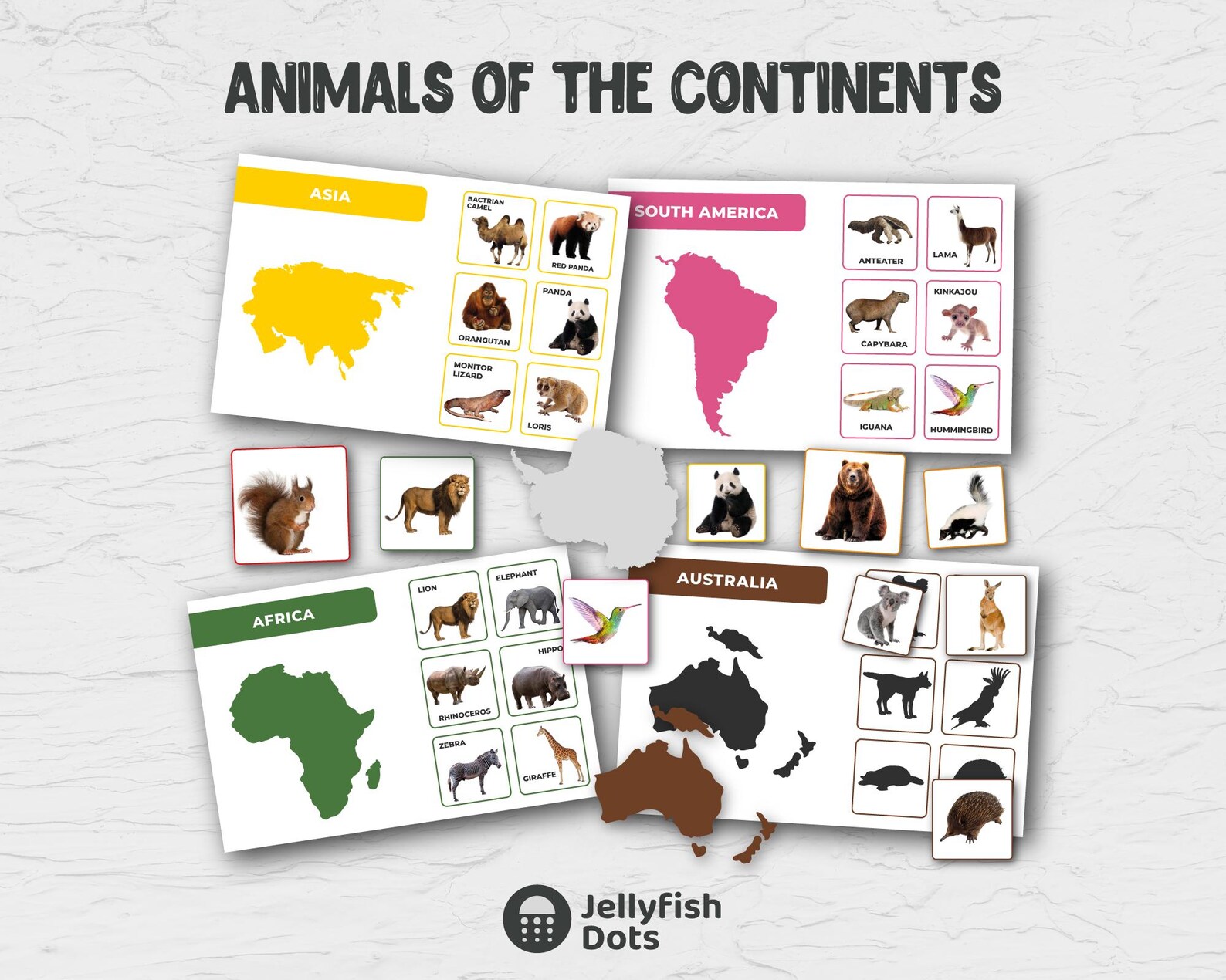 Montessori Animals & Continents Flashcards: Geography Learning (PDF ...