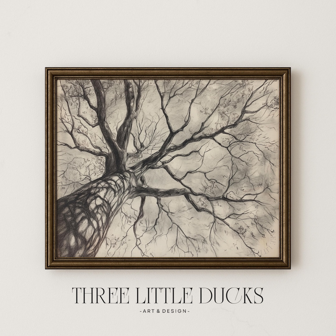 Vintage Tree Sketch | Tree Canopy Art | Rustic Nature Drawing ...