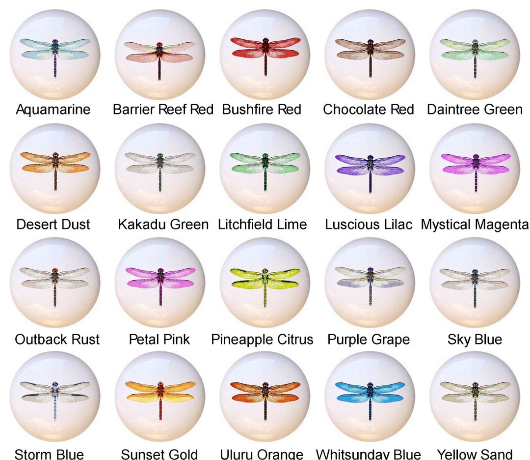 Dragonfly Dragonflies Bugs Insects Colors Ceramic Dresser Knobs ...