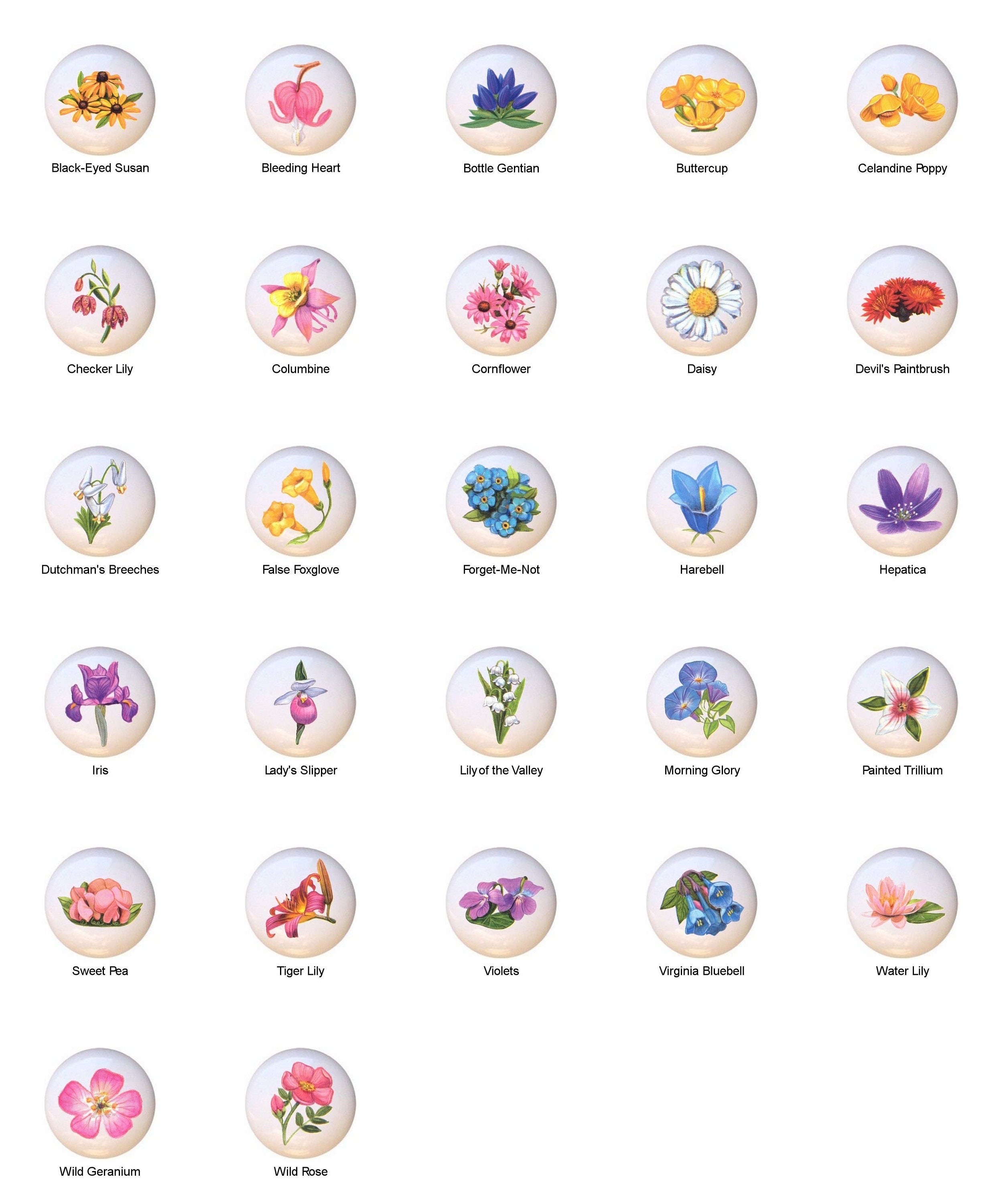 Flabebe Evolution Chart