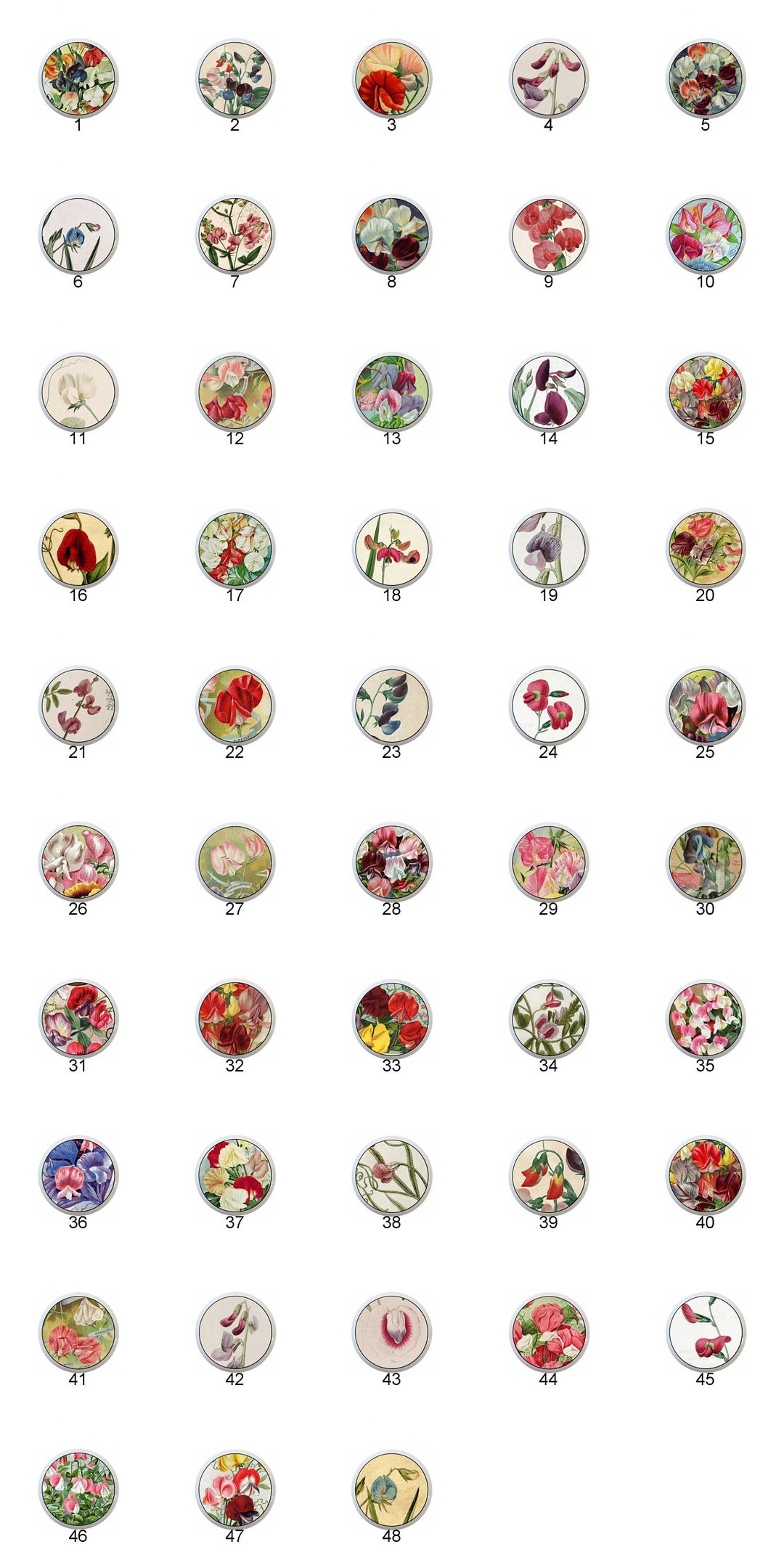 Vintage Sweet Pea Round Flower Designs by Cmc DECORATIVE Ceramic ...