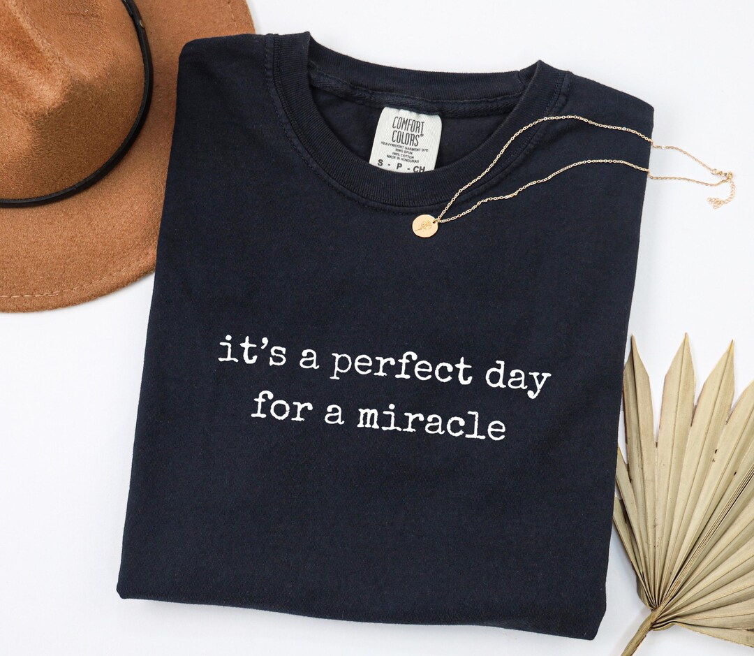 Its A Perfect Day for A Miracle Shirt - IVF Transfer Day T Shirt ...