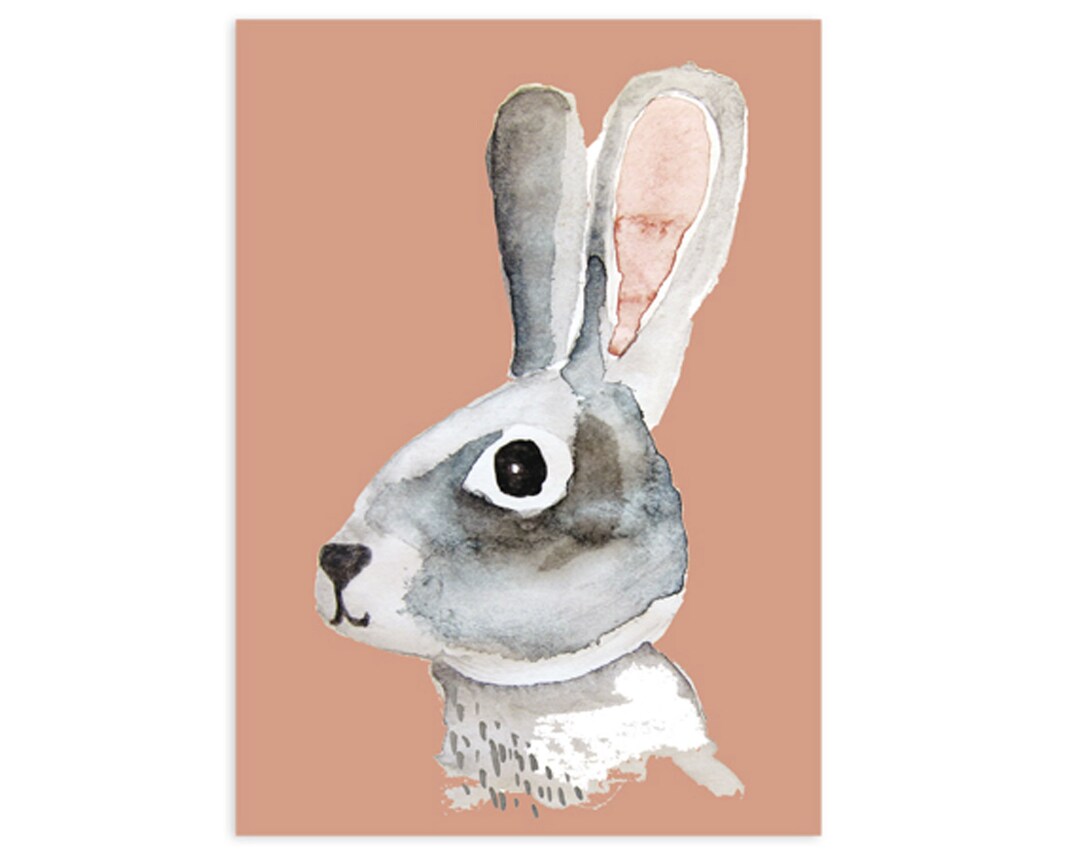 Bunny, Postcard - Etsy