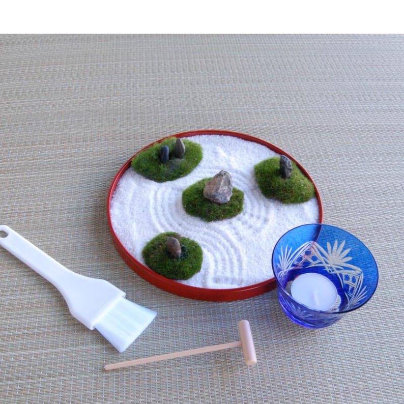 Zen Garden middle Type Zen Garden Air Plant brought to You From Japan ...