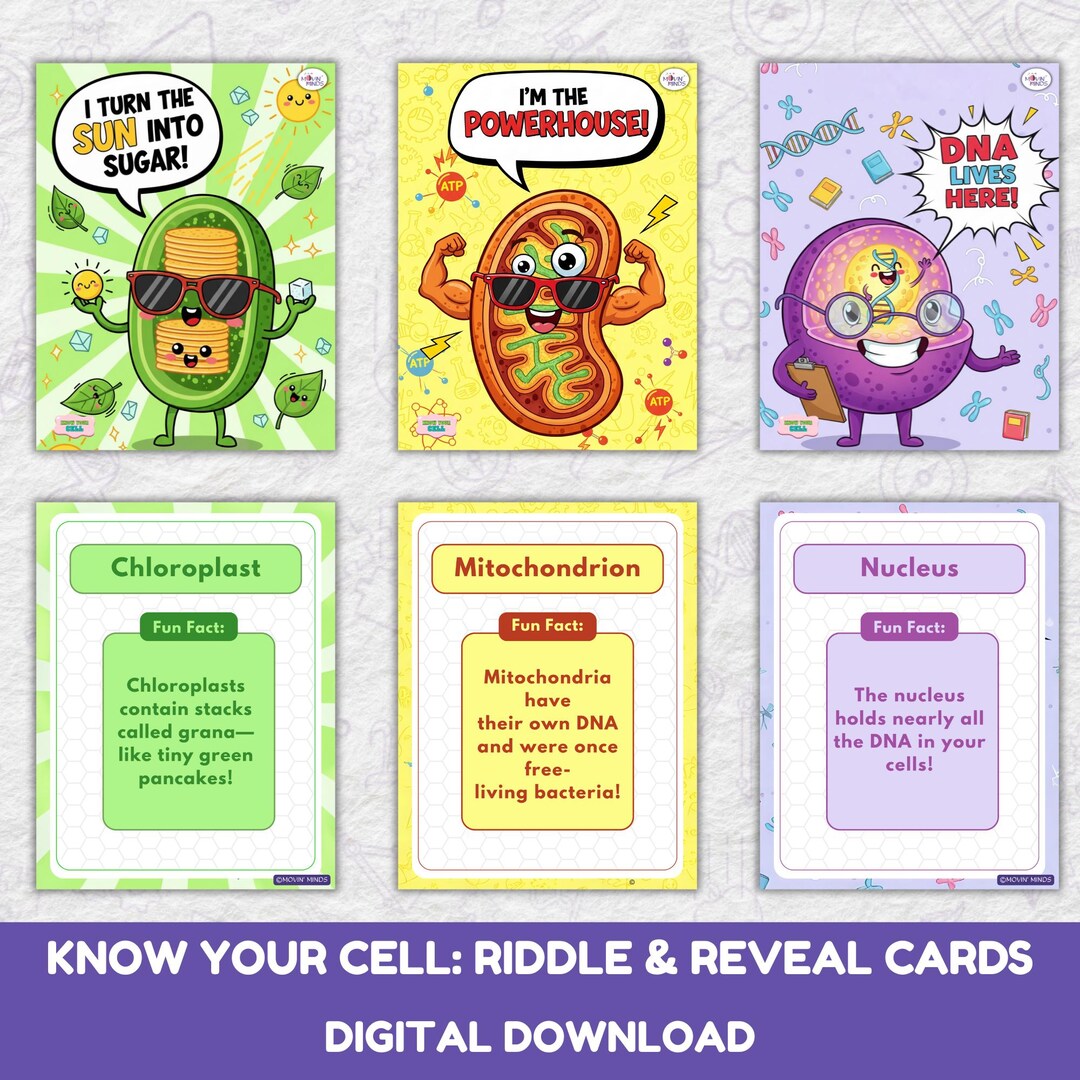 Know Your Cell: Riddle & Reveal Cards | Printable Flashcards | Cell ...