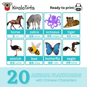 20 Animal Flashcards With Chinese Character and Pinyin | Printable ...