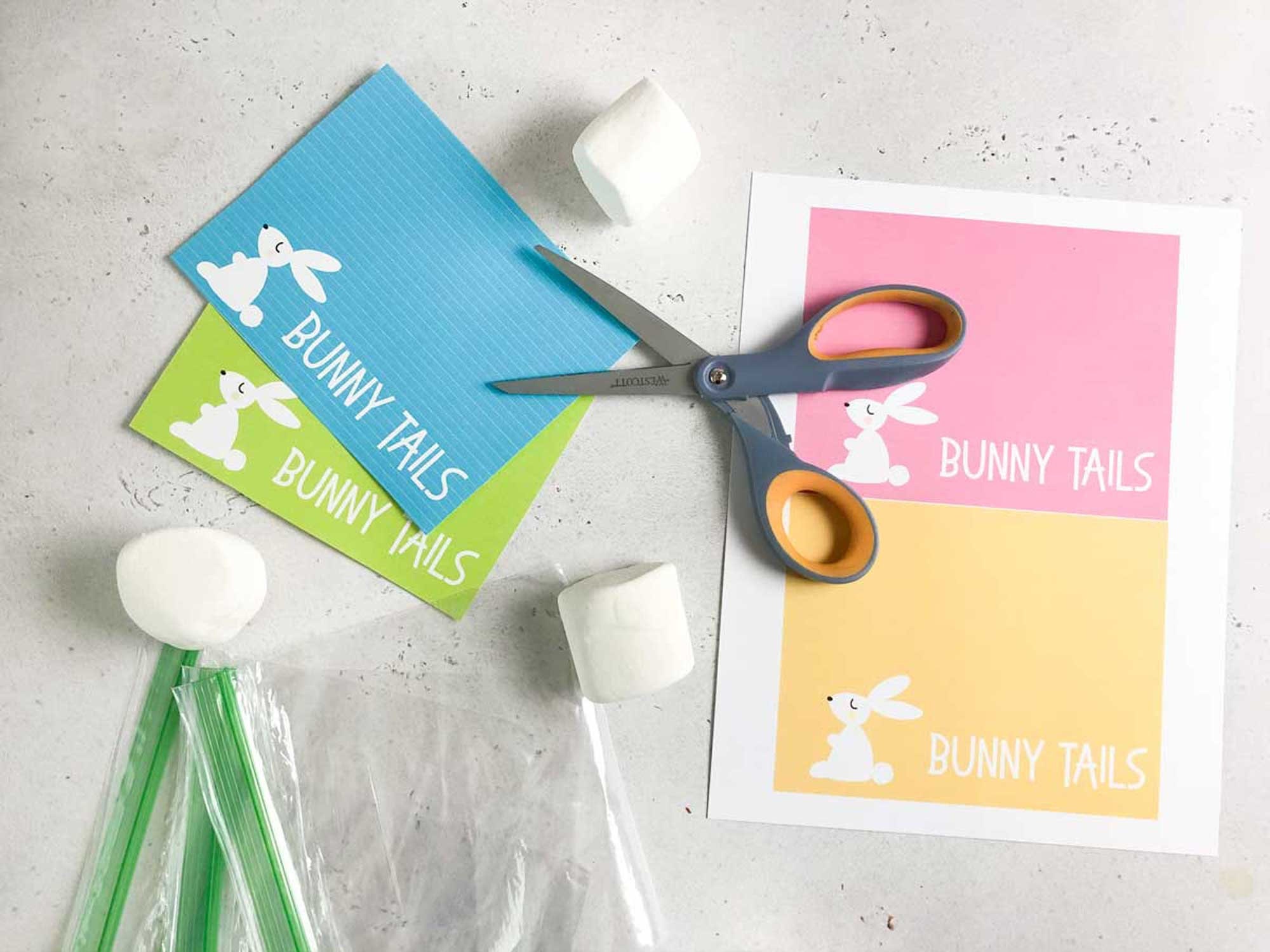 Bunny Tails Gift Tag for Easter Easter Bunny Gift Easter Gift ...