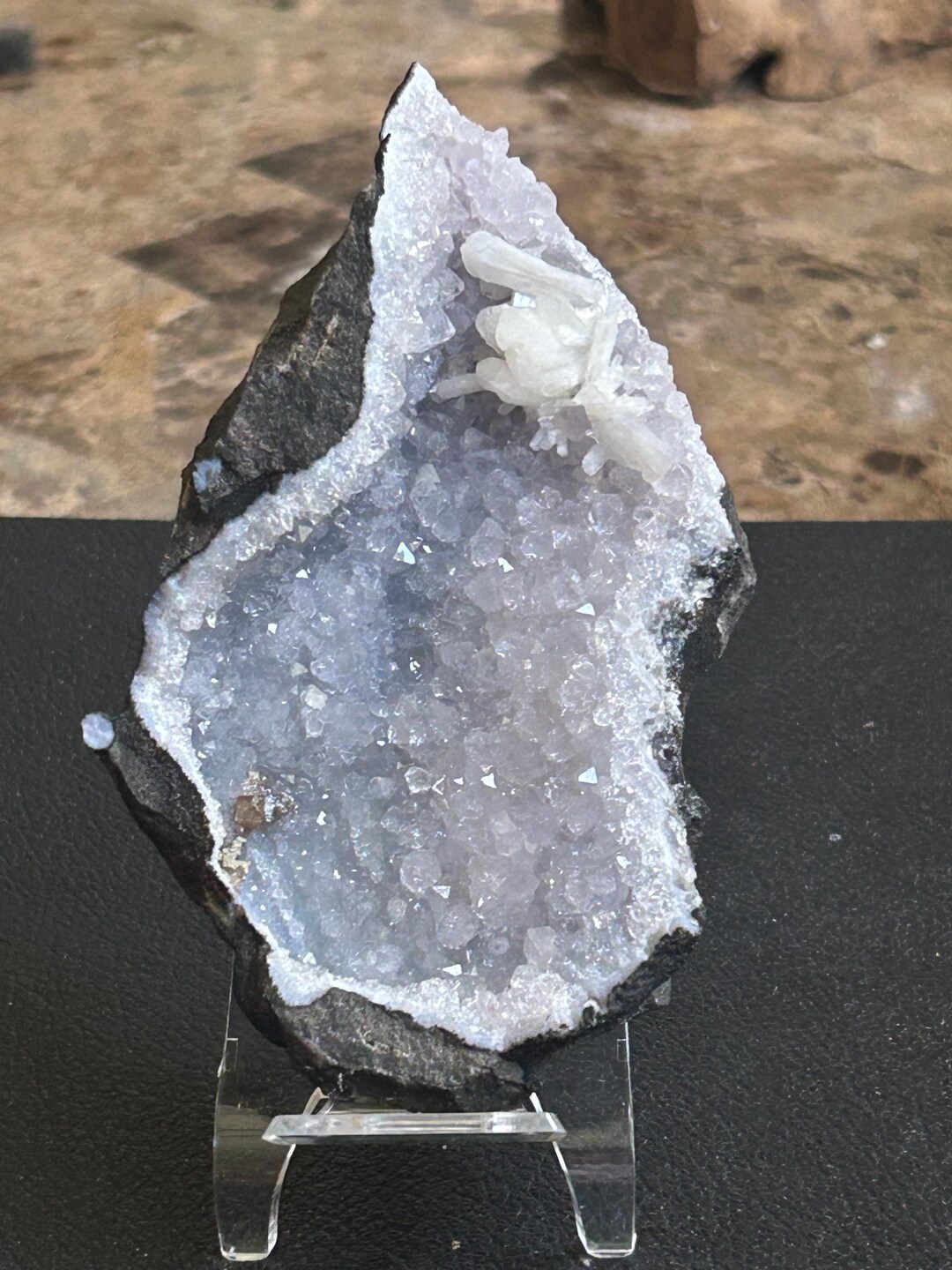 Rare Barite-bladed Quartz Geode With Pyrite Inclusions – 6” Natural ...