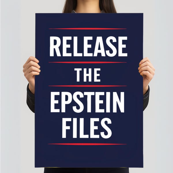 Trump Protest Signs Epstein - Etsy