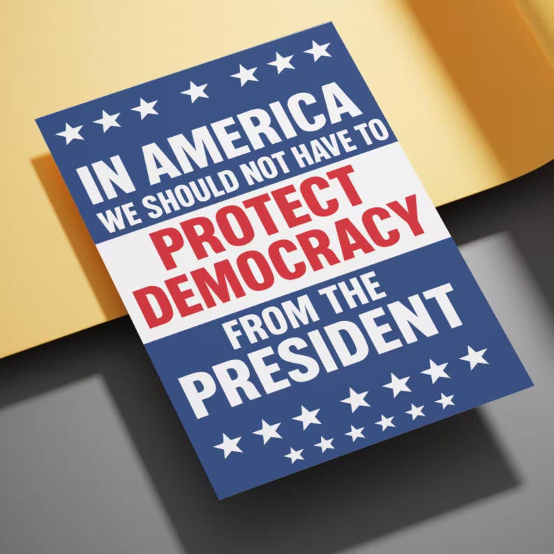 Protect Democracy Protest Poster, Anti-trump Anti-fascism Sign, Pro ...
