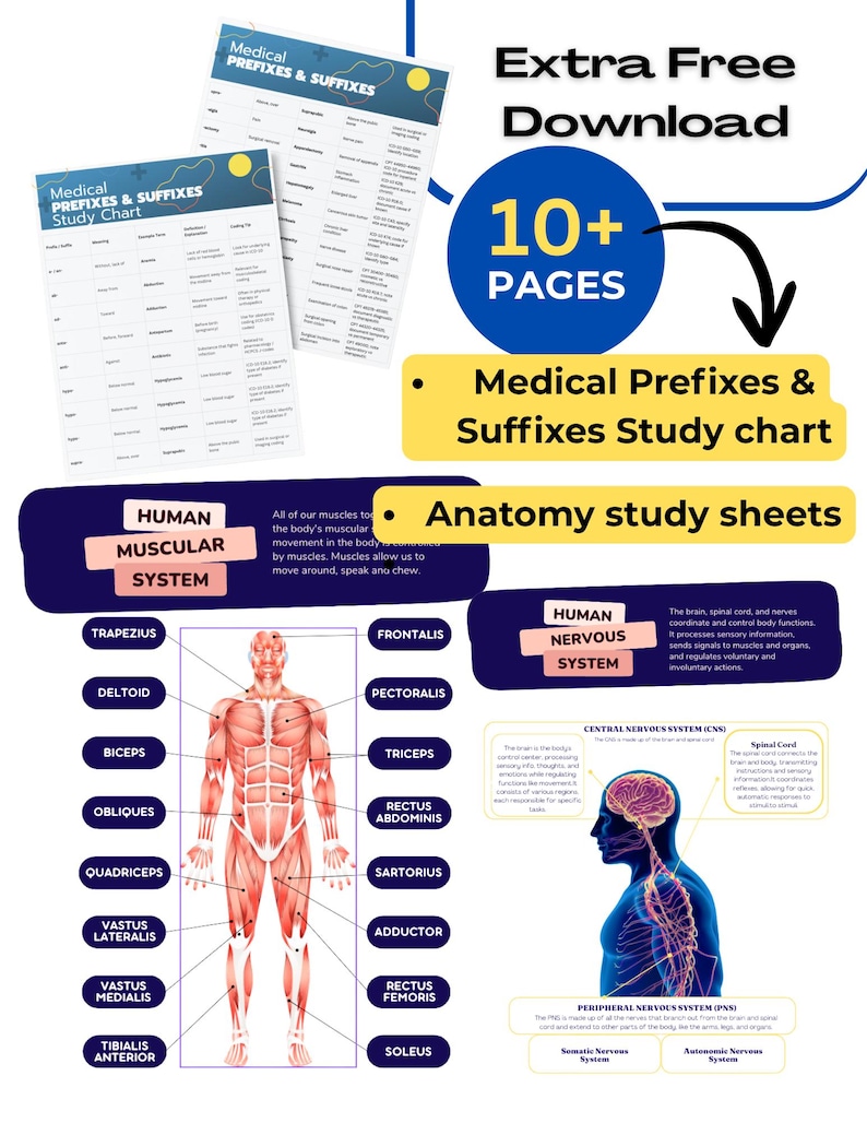 2026 Medical Coding Study Guide: CPC & CCS-P Exam Prep - 12 Month ...