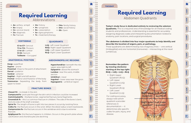 Medical Coding Study Guide: CPC & CCS-P Exam Prep (PDF Download) - Etsy