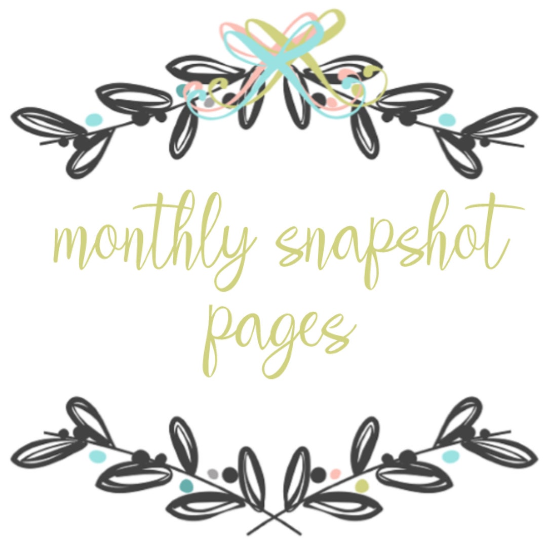 Monthly Snapshot Pages Add on Page - Etsy