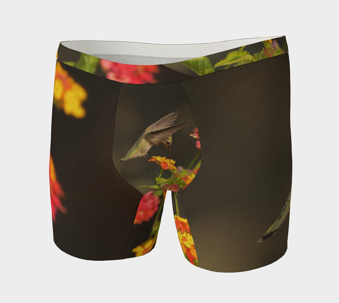 Hummer & Lantana Boxer Briefs - Etsy