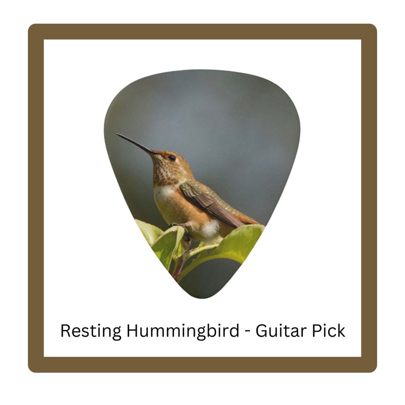 Hummingbird Picks - Etsy
