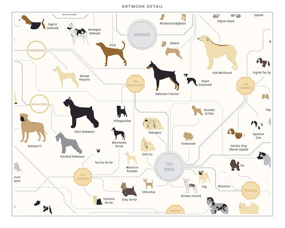 How Do Dog Breeds Develop