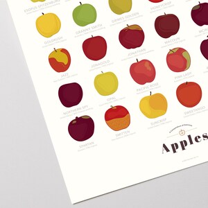 Delicious Apple Varieties Chart Print | Poster for Home | Gift for ...