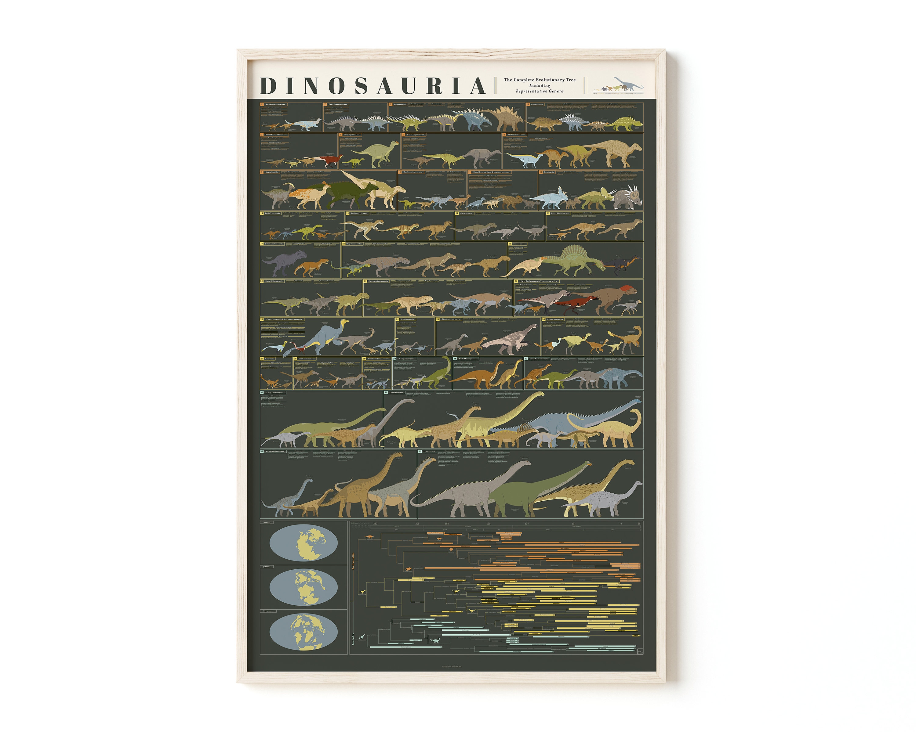 Evolution of Dinosaurs Print | Poster for Home | Gift for Science ...