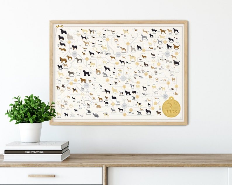 Dog Breeds Print Poster for Home Gift for Pet & Animal - Etsy