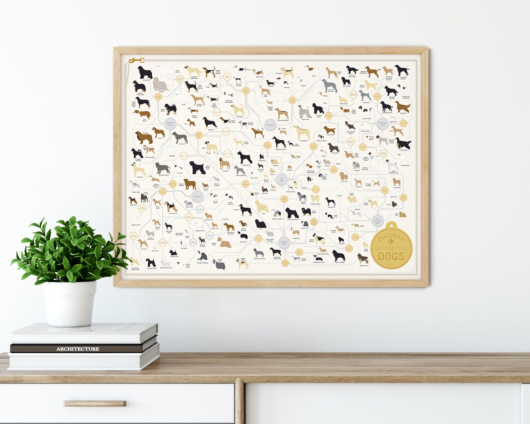 Dog Breeds Print Poster for Home Gift for Pet & Animal - Etsy
