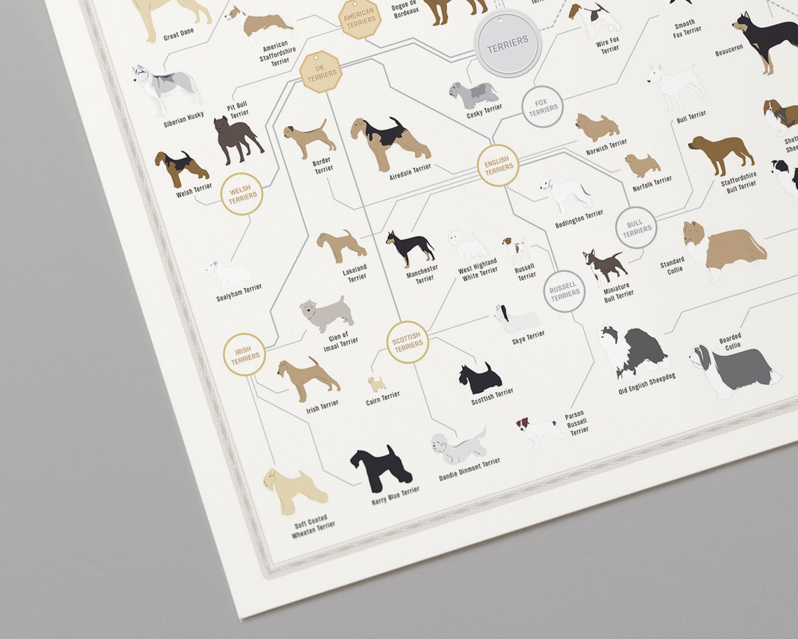 Dog Breeds Print Poster for Home Gift for Pet & Animal - Etsy