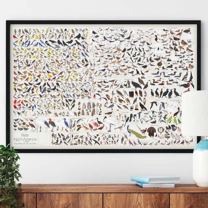 Bird Poster - Etsy