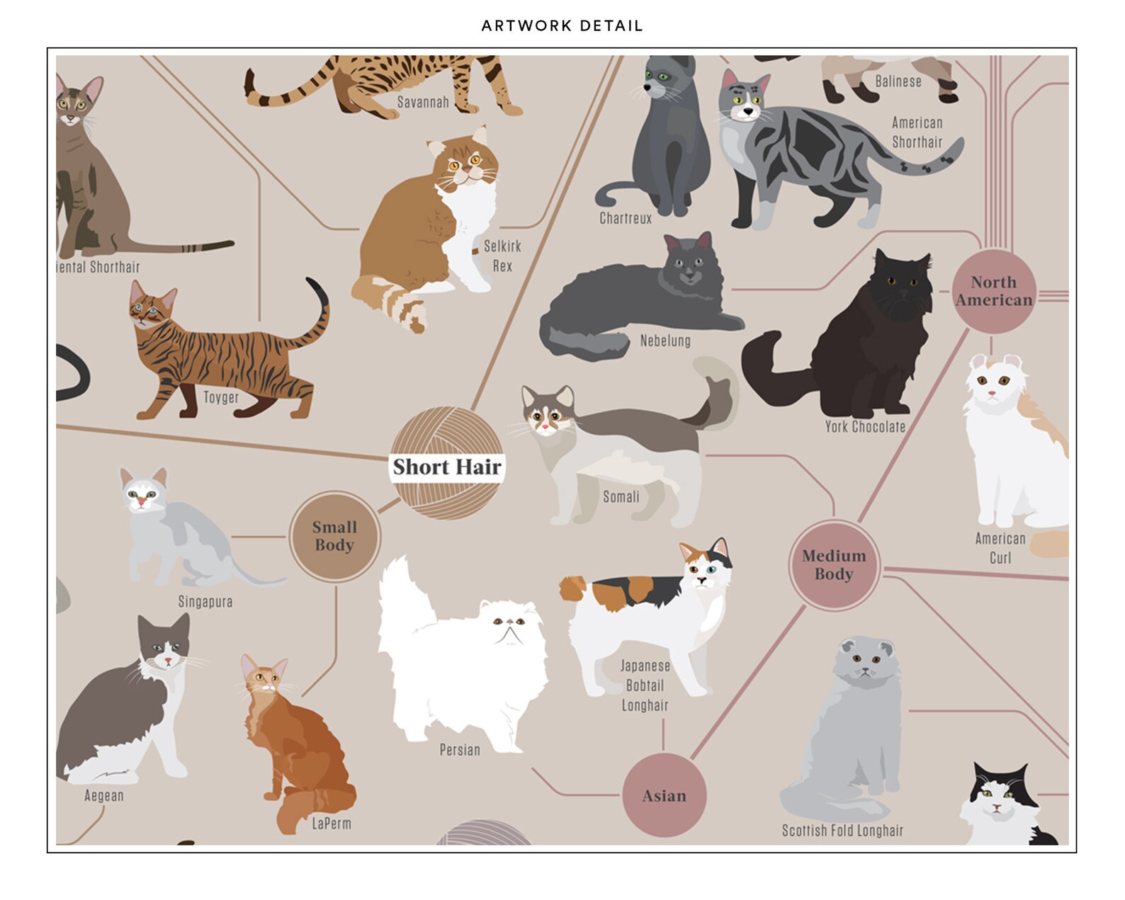 Cat Breeds Print Poster for Home Gift for Pet & Animal - Etsy