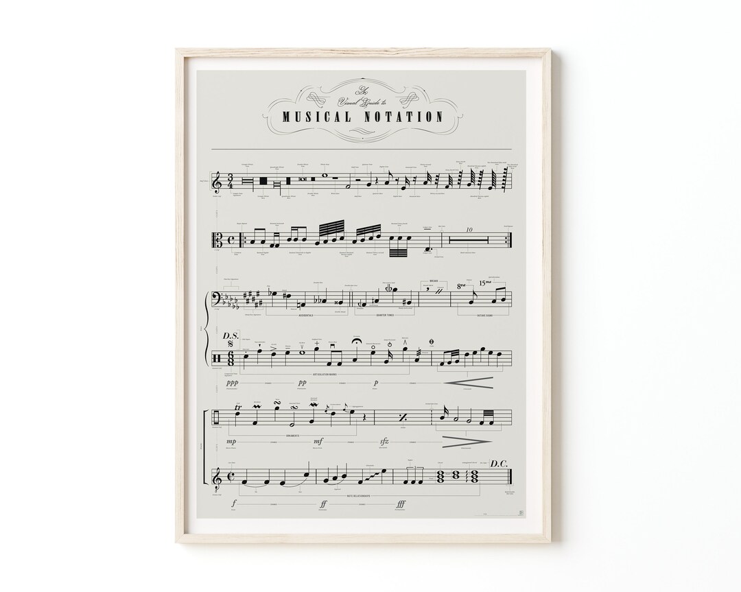 Guide to Music Symbols Print | Poster for Home | Gift for Musicians - Etsy