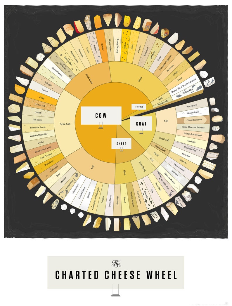 Cheese Types Poster The Charted Cheese Wheel 18 X 24 Print Etsy cheese-types-poster-the-charted-cheese-wheel-18-x-24-print-etsy